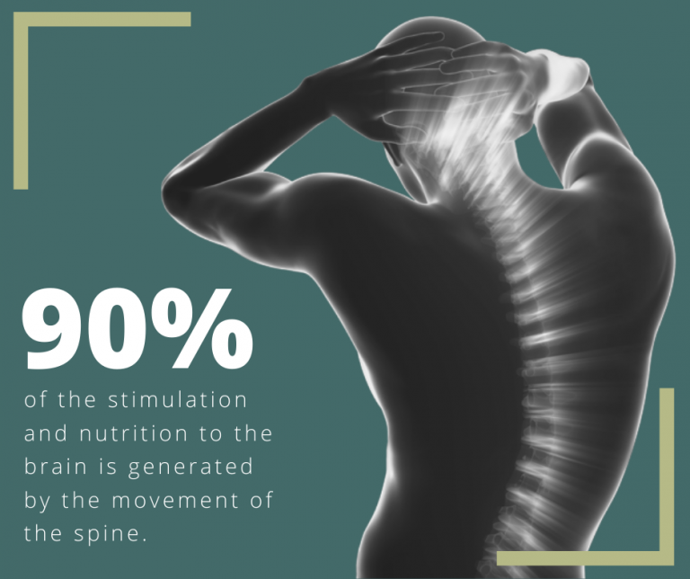 Movement of the Spine – Be Healthy Today